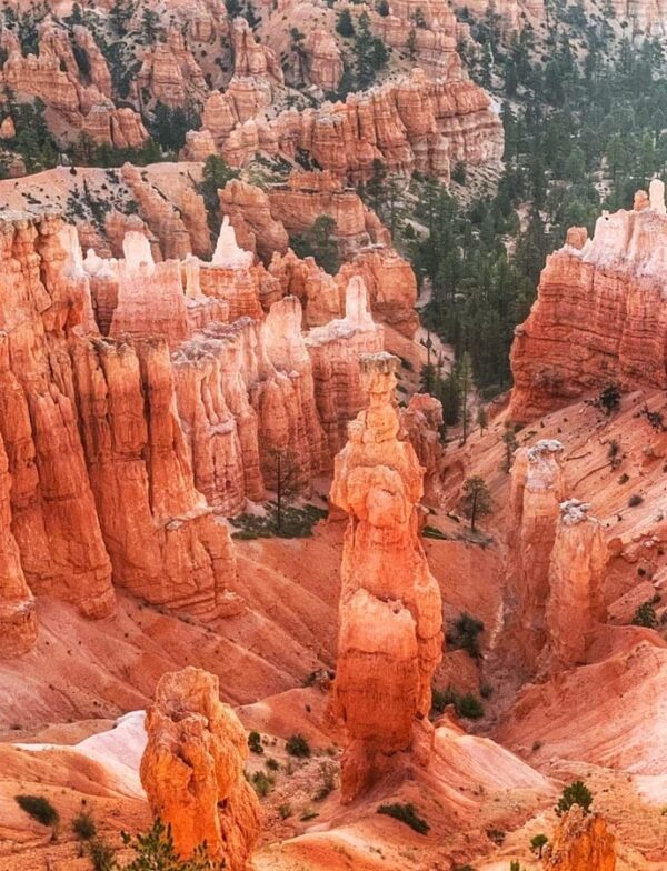 8 Best Road Trips Across the United States - Travel & Enjoy