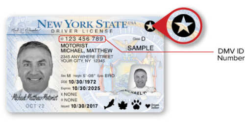 New York Real ID - Which ID is right for me?